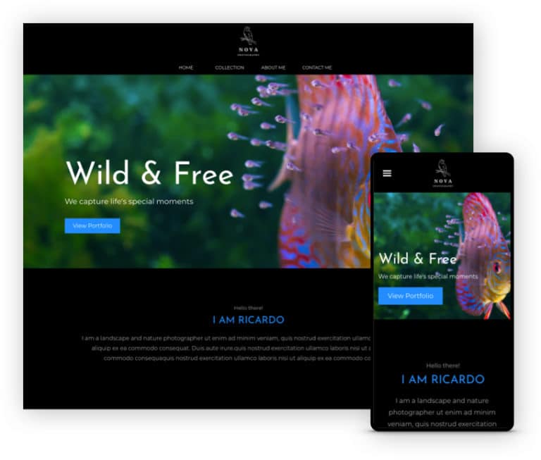 Customizable Photography Website Templates | Zenfolio