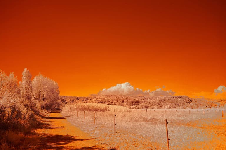 59 Landscape Photography Ideas to Help You Capture the Perfect Shot