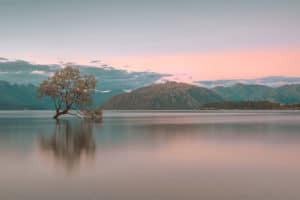 Still life photography: A guide to capturing beautiful inanimate objects