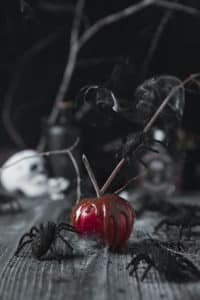 30 Unique Food Photography Ideas to Capture Delicious Shots
