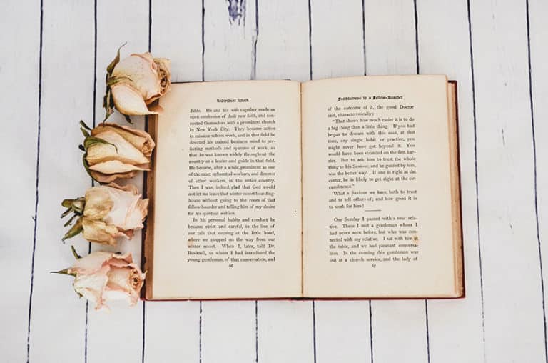 30 Still Life Photography Ideas for Photographers of All Levels