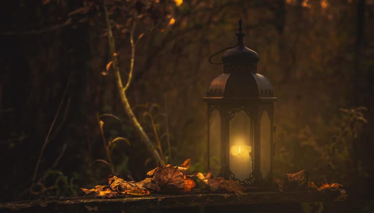 30 Still Life Photography Ideas for Photographers of All Levels