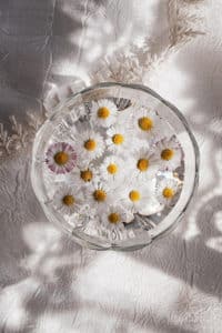 30 Still Life Photography Ideas for Photographers of All Levels