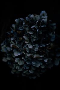 30 Still Life Photography Ideas for Photographers of All Levels