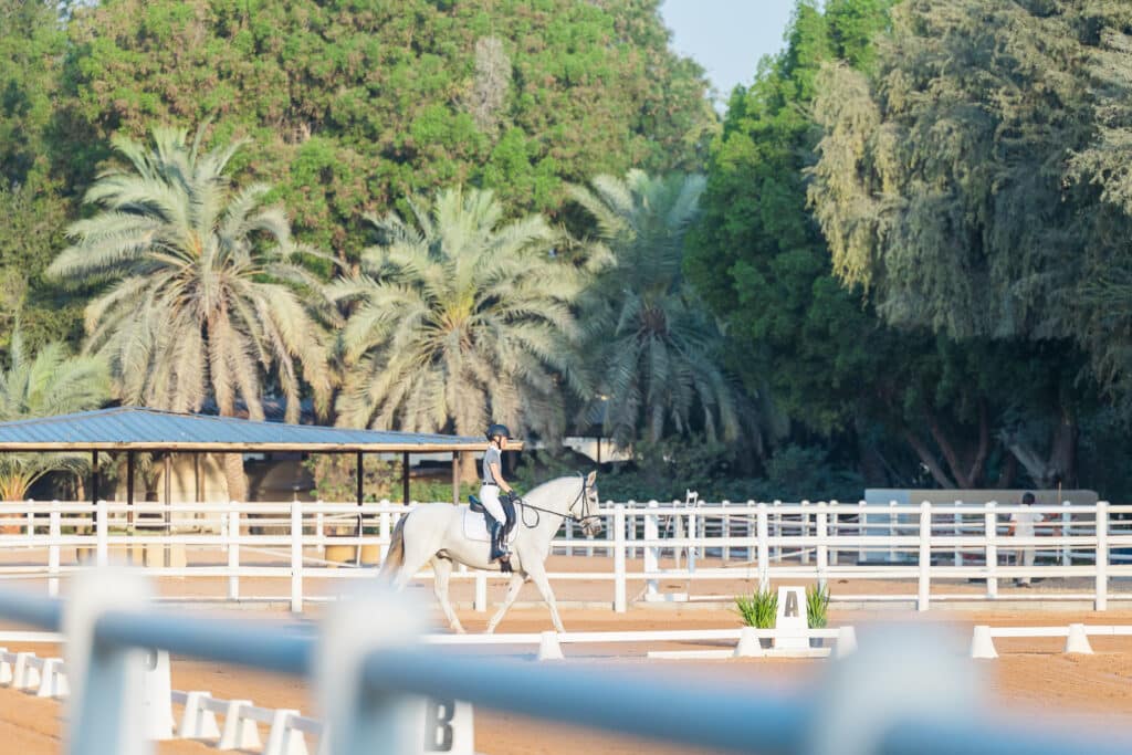 Horse Event Photography Guide: Techniques and Tips