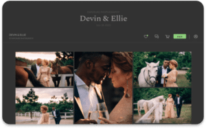 Professional Client Galleries for Photographers - Zenfolio