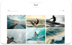 Professional Client Galleries for Photographers - Zenfolio