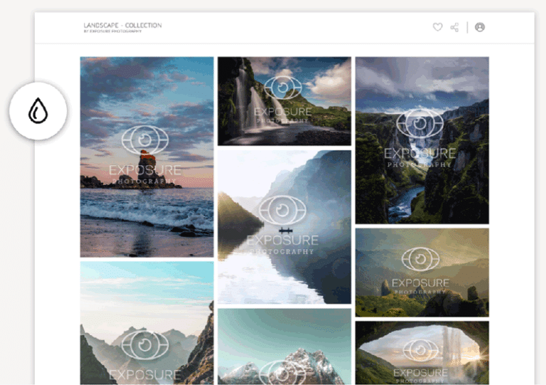 Professional Client Galleries for Photographers - Zenfolio