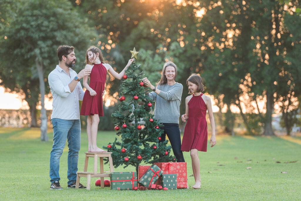 Holiday Sales Checklist for Photographers: Proven Strategies for Black ...