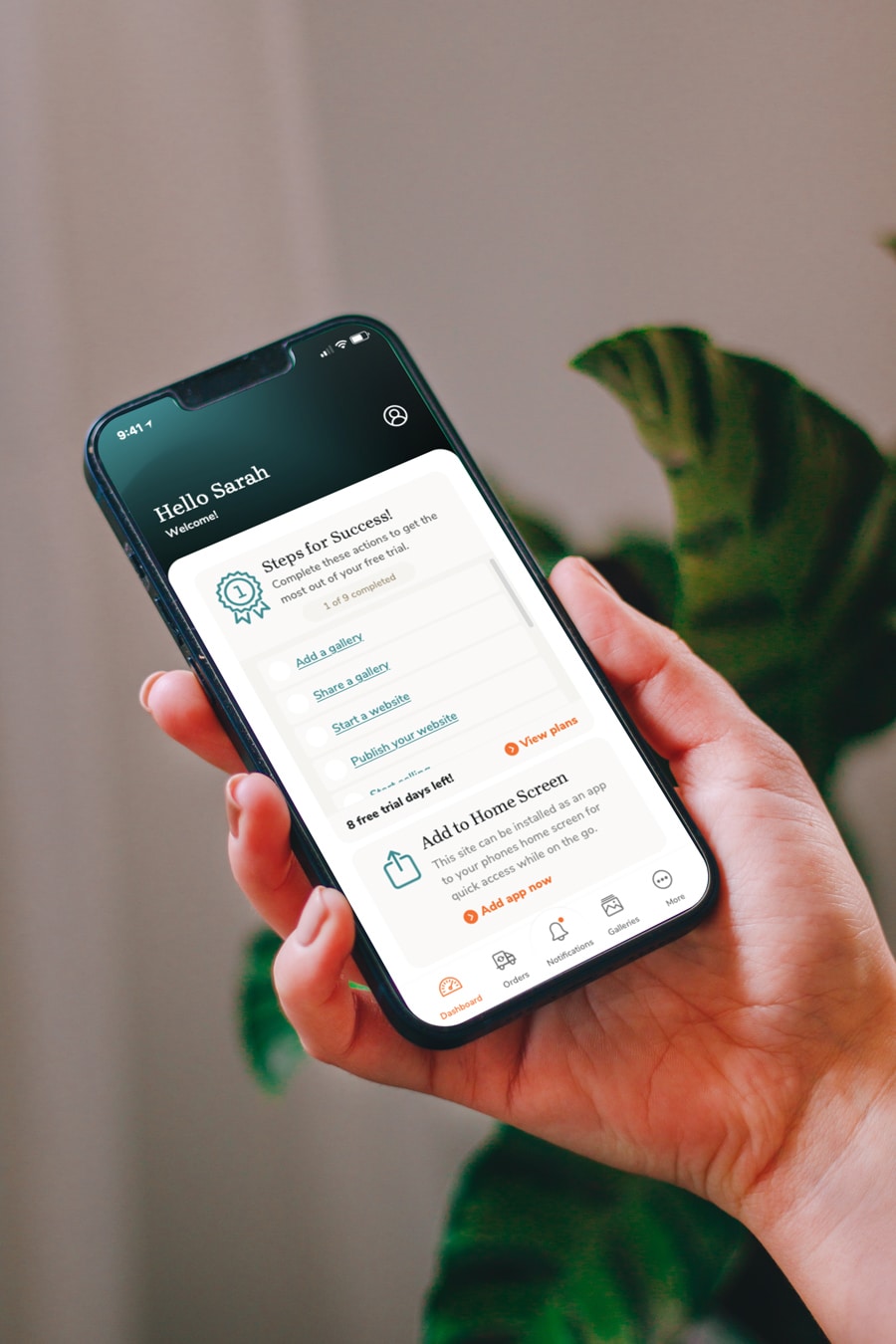 NextZen: Zenfolio, Completely Reimagined